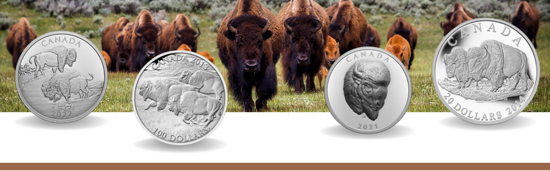 Look At Some Coins Featuring The Majestic Bison