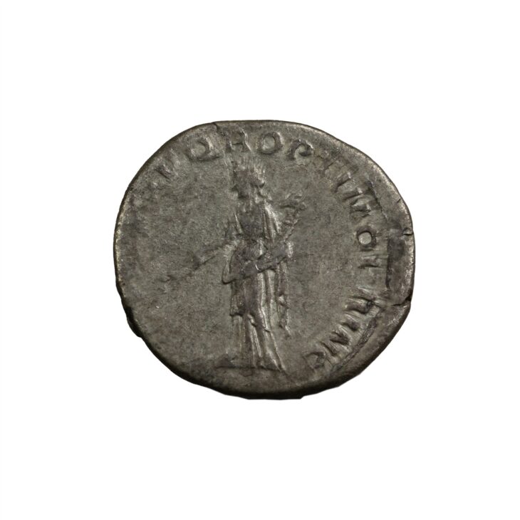 A Guide To Identifying Ancient Roman Coins | Colonial Acres Coins
