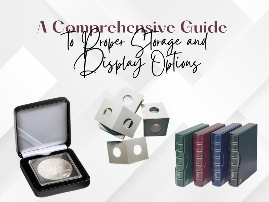 A Comprehensive Guide to Proper Storage and Display Options