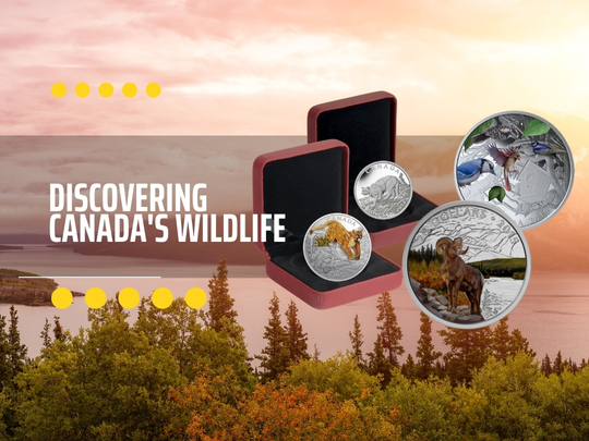 Canadian Wildlife: Royal Canadian Mint Coin Designs | Part 1