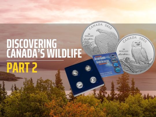 Discovering Canada’s Wildlife Through Coins: Part Two!
