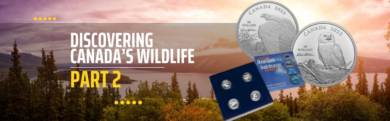 Discovering Canada’s Wildlife Through Coins: Part Two!