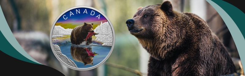 2024 Royal Canadian Mint: Grizzly Bear $20 Silver Coin