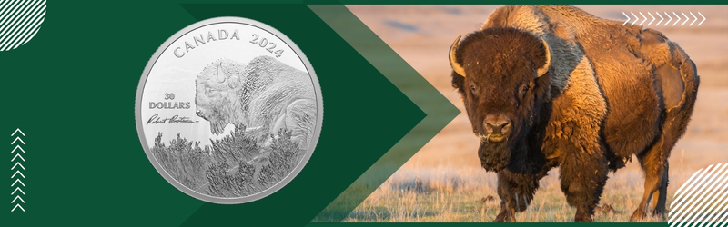 The 2024 $30 Weather Watch Bison by Robert Bateman