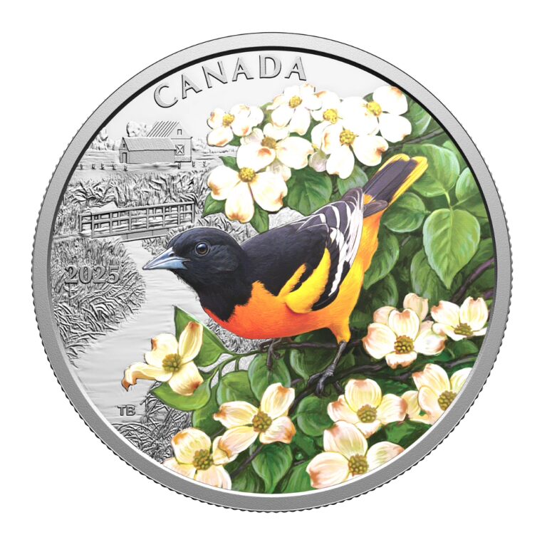 Discover the 2025 Baltimore Oriole $20 Coin | Colonial Acres