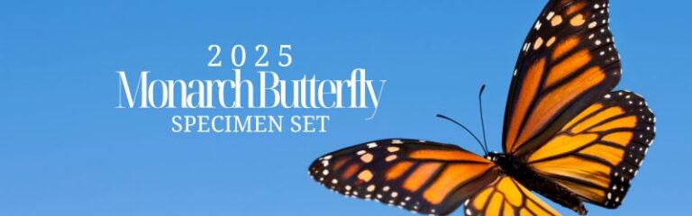 2025 Monarch Butterfly Specimen Set | Colonial Acres Coins