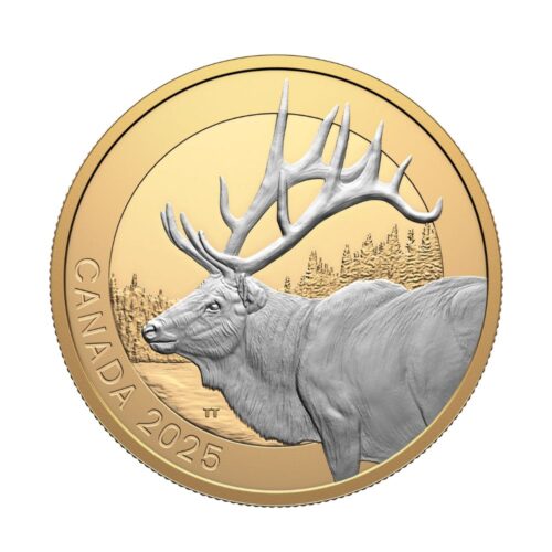 2025 $20 Animal Portraits: Elk Coin | Colonial Acres